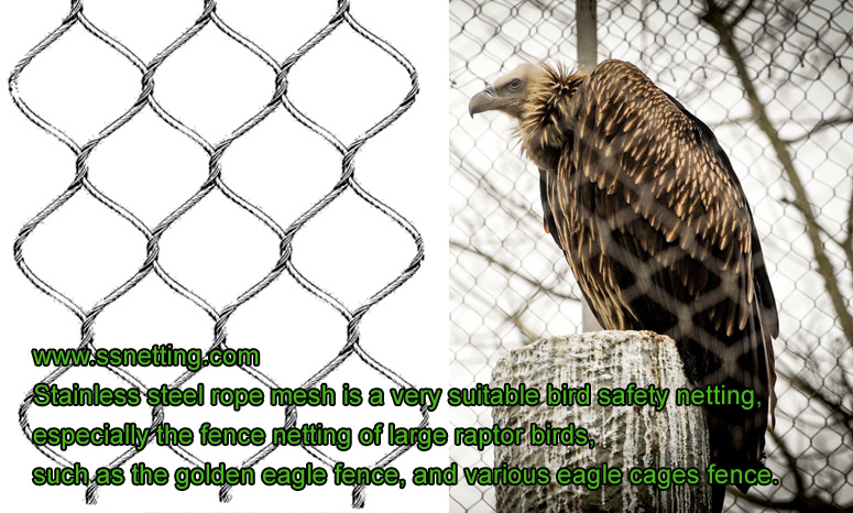 Fence netting of large raptor birds, Golden eagle fence - stainless ...